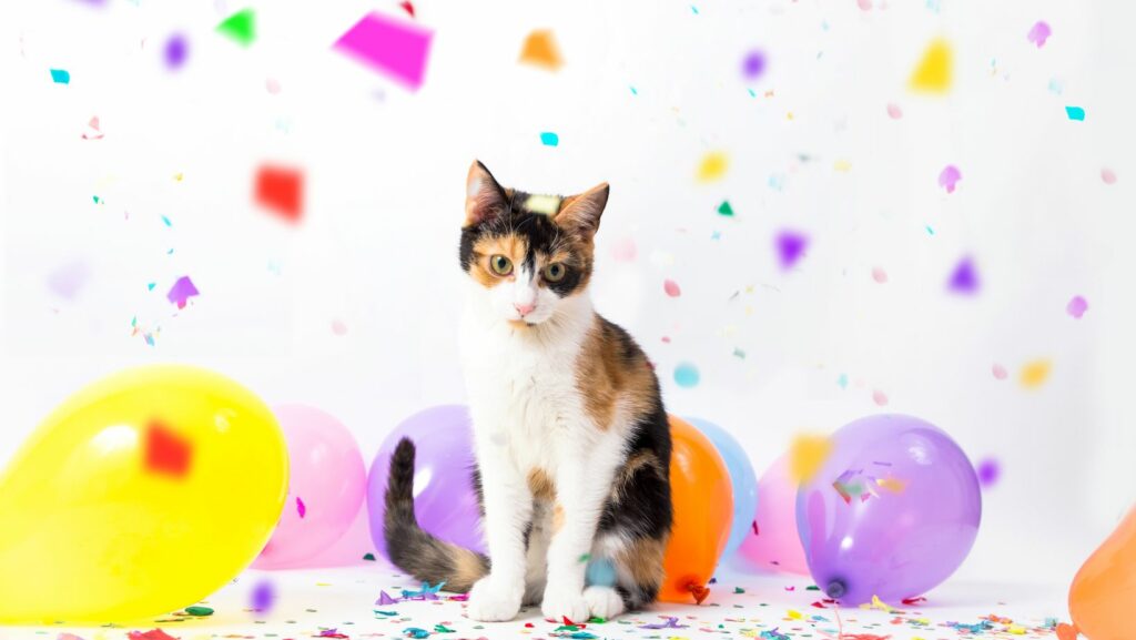 Party Animals: Essential Tips and Tricks for Every Game Mode - Onedayform