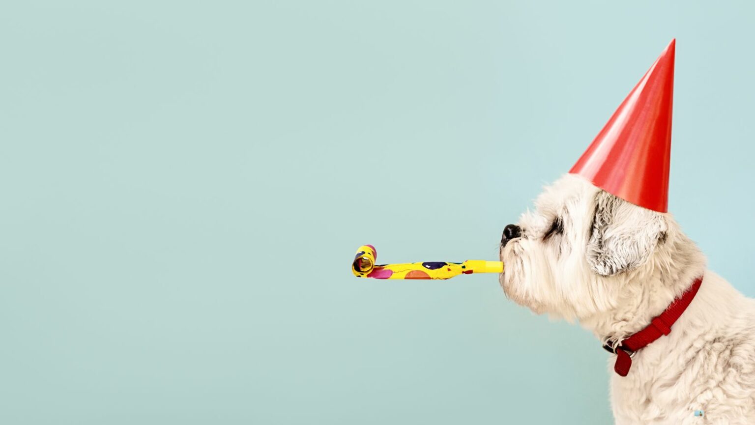 Party Animals: Essential Tips and Tricks for Every Game Mode - Onedayform
